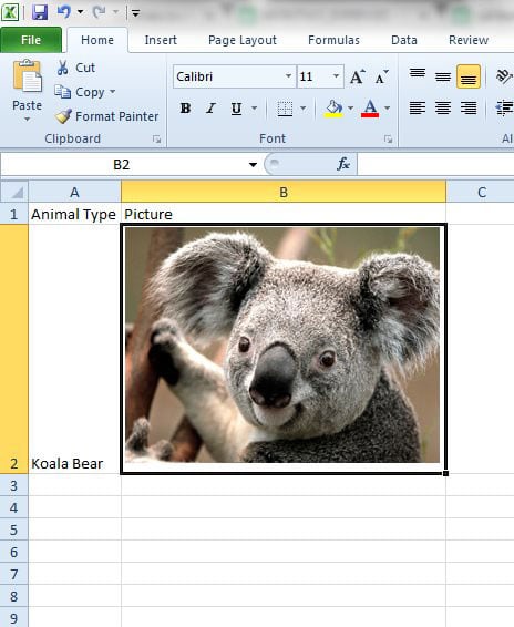 How To Lock An Image To A Cell In Excel 2010 Live2Tech