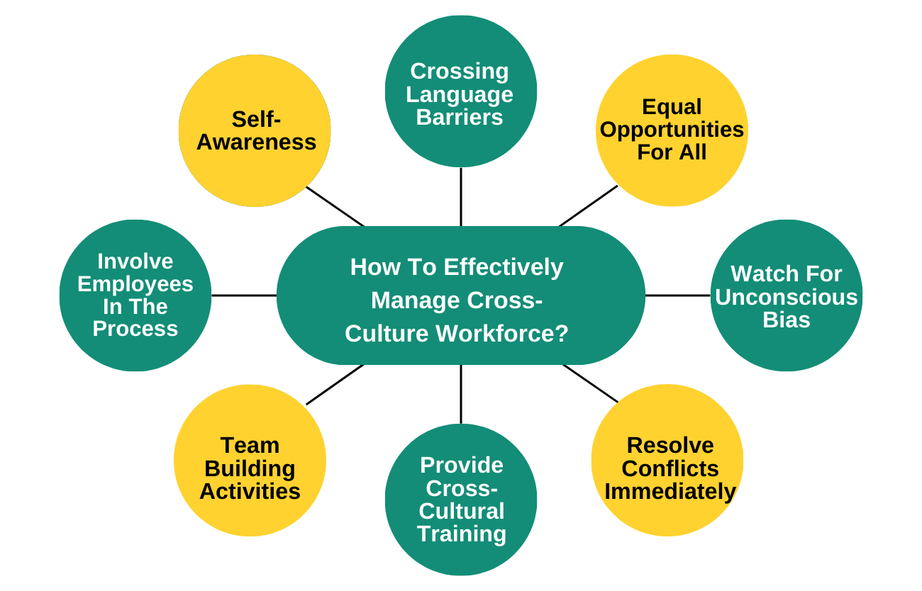 Cross Culture Management What Is It And Why Is It Important Edureka