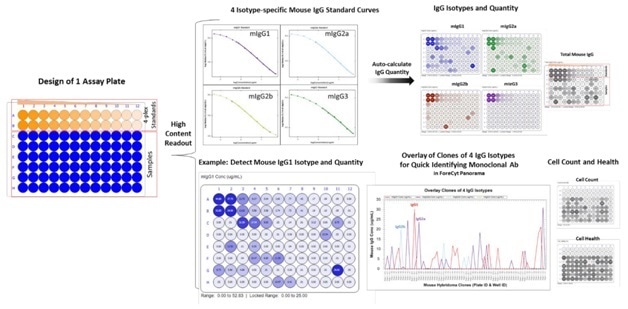 A Novel Way to Expedite Antibody Discovery with the Sartorius Mouse IgG ...